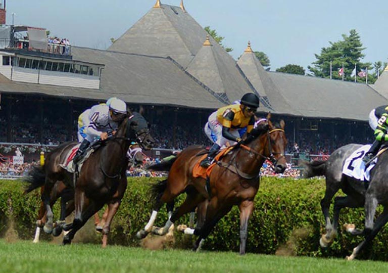 Horse Racing Odds | Betting On Horses - BUSR