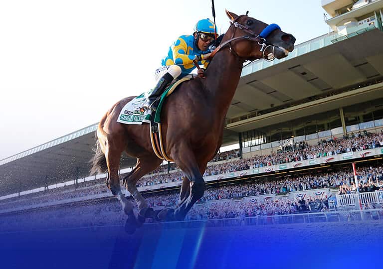 Horse Racing Schedule BUSR