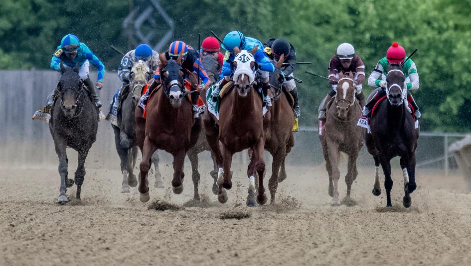 Black-Eyed Susan Stakes Betting: Odds, Post Positions, Horses, Analysis ...